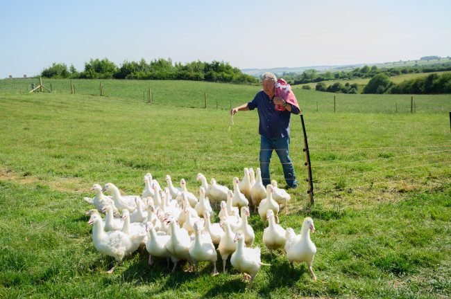 La ferme de Clarkson : Saison 5 - Clarkson's Farm - Gamereactor
