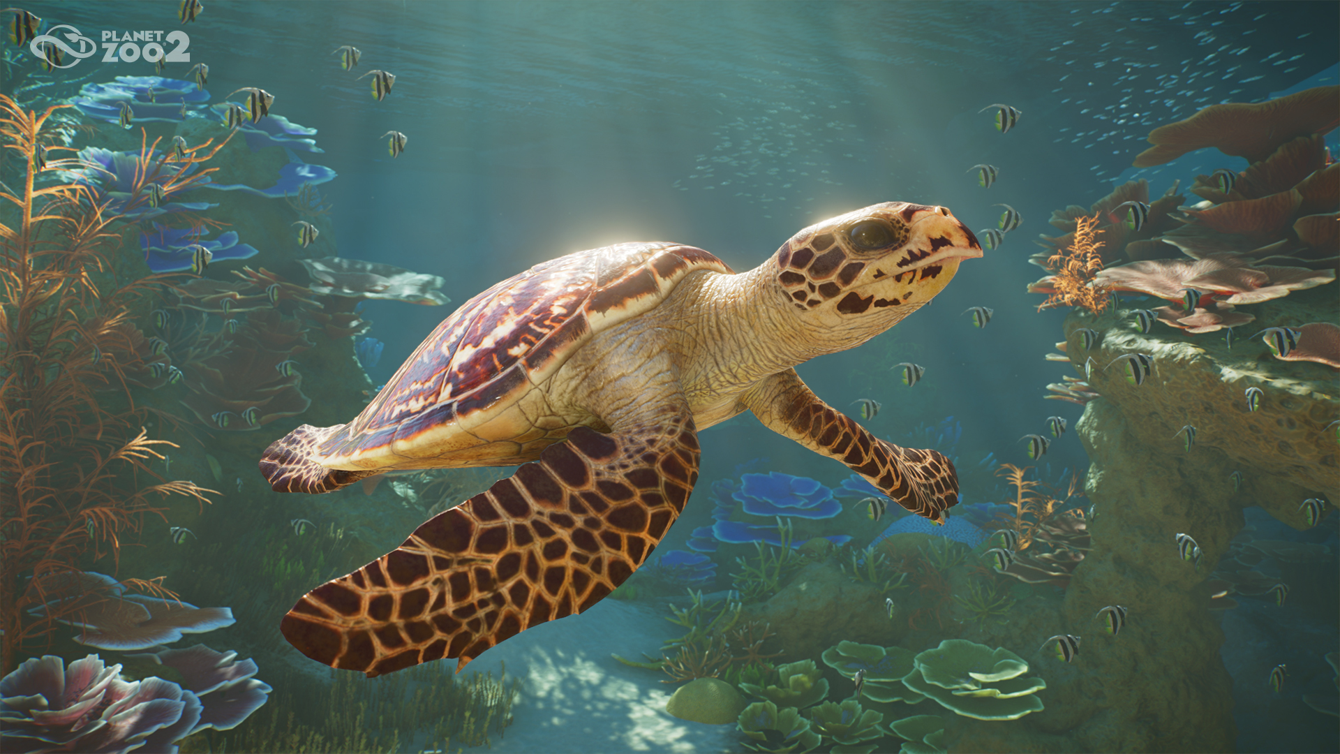 Frontier annonce Planet Zoo 2, qui sera lancé sur PC et consoles en ...