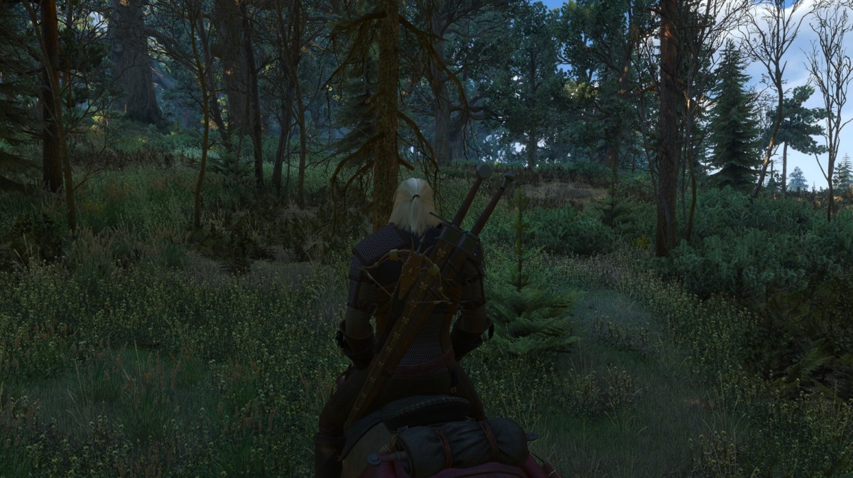The Witcher 3 : Un mod rend l'herbe aussi verte que dans le trailer de ...