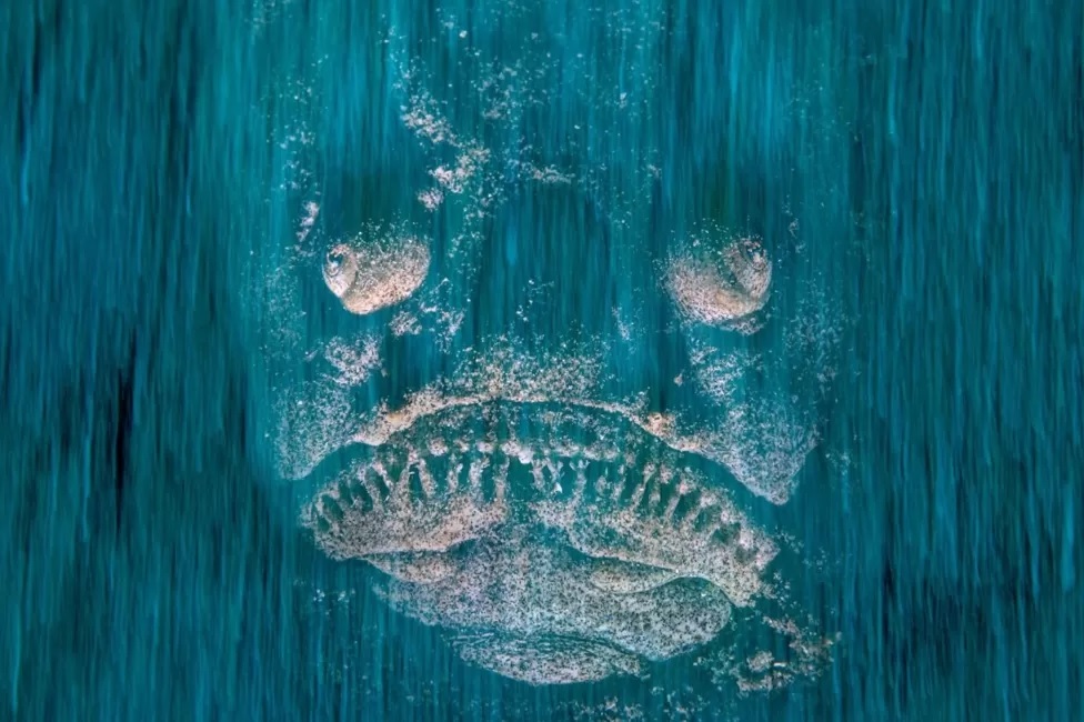 Ce poisson ressemble à un fantôme enterré au fond de la mer - - Gamereactor