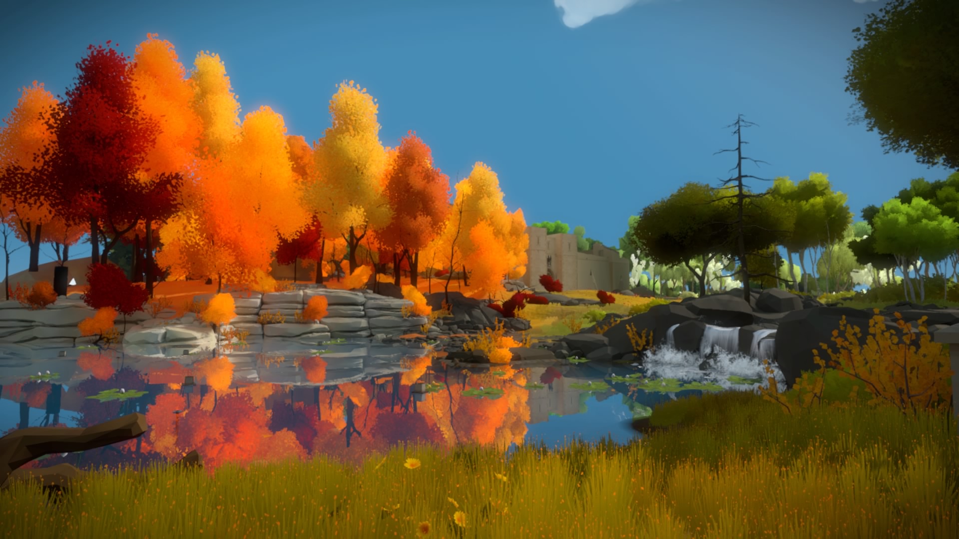 Une sortie physique pour The Witness sur PS4