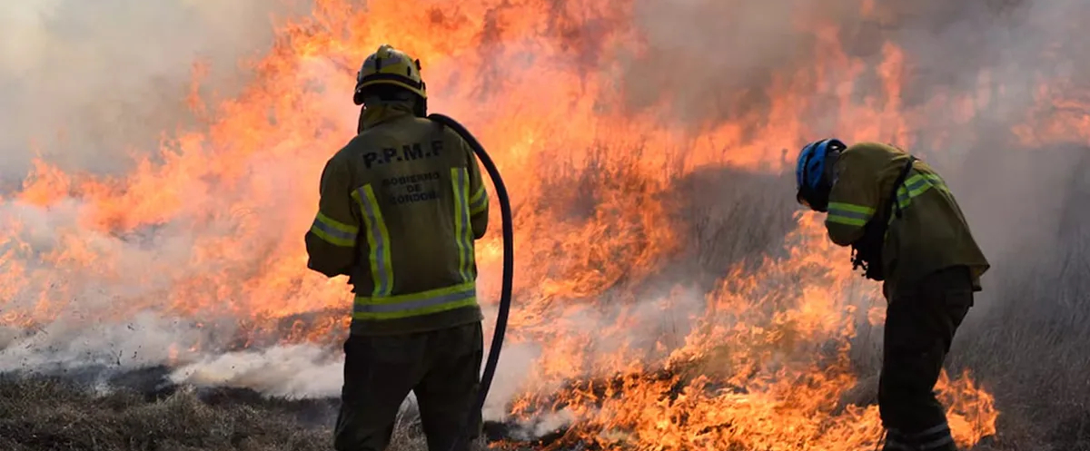 Un incendie de forêt oblige à des évacuations massives en Crète ...