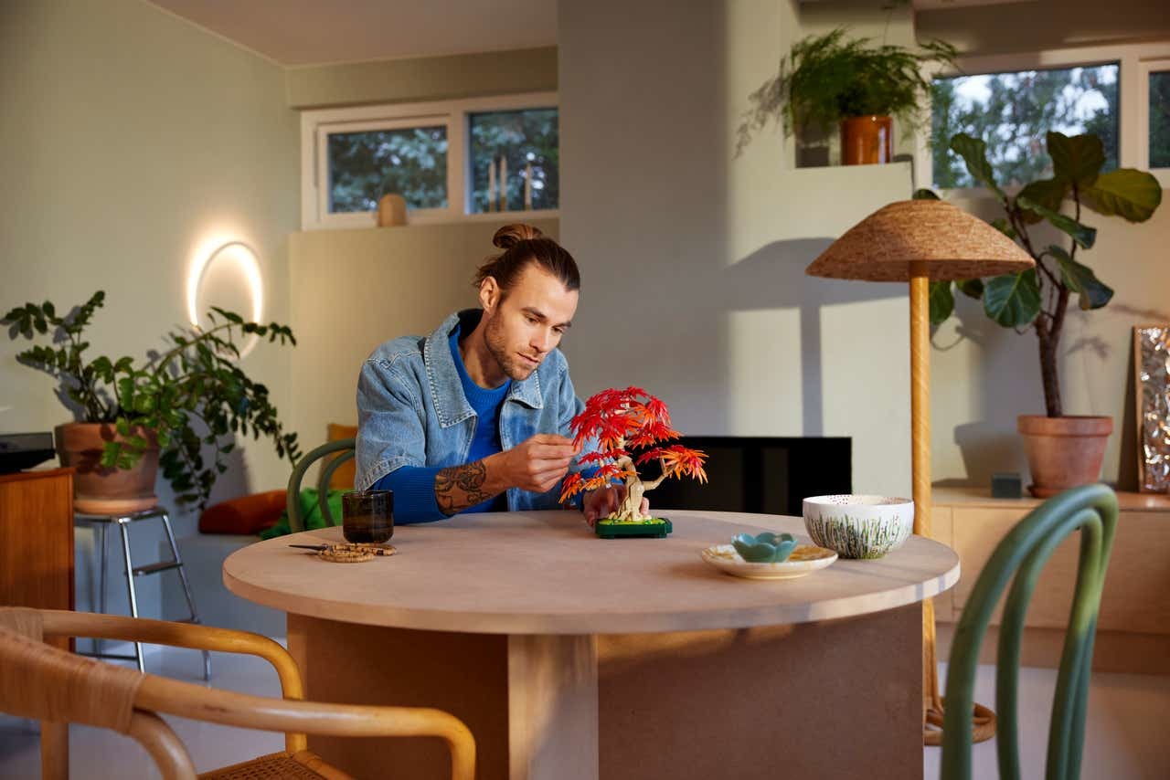 Lego élargit la gamme Botanicals avec le bonsaï érable rouge et l'œuvre ...