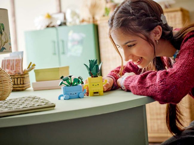 Lego élargit la gamme Botanicals avec le bonsaï érable rouge et l'œuvre ...